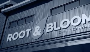Root & Bloom • Massachusetts Cannabis Cultivation & Extraction