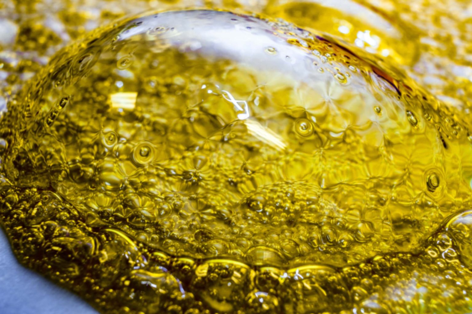 Blog and News • Root & Bloom