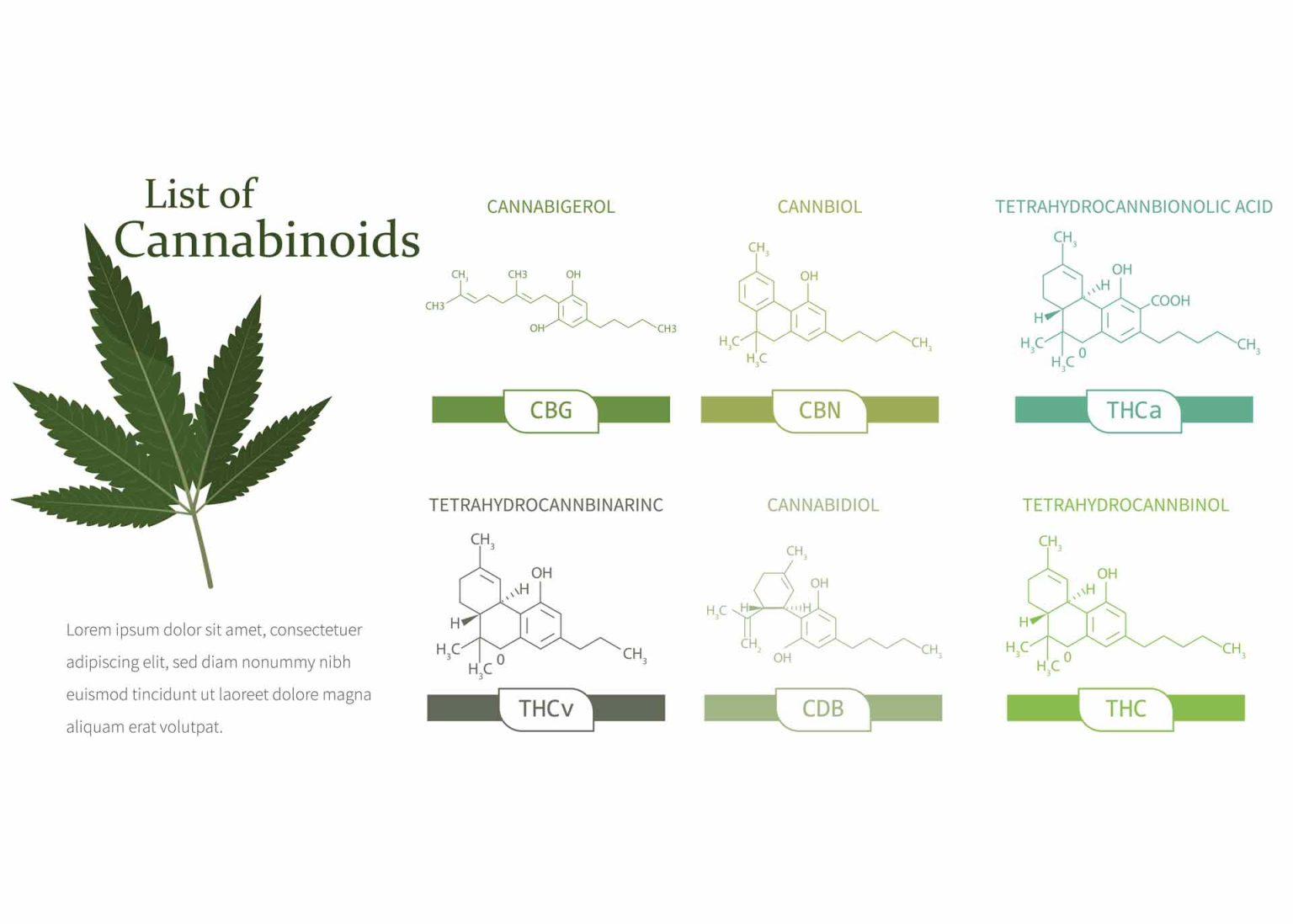 Decoding the Intricate Dialogues of Cannabis Terpenes and Cannabinoids ...