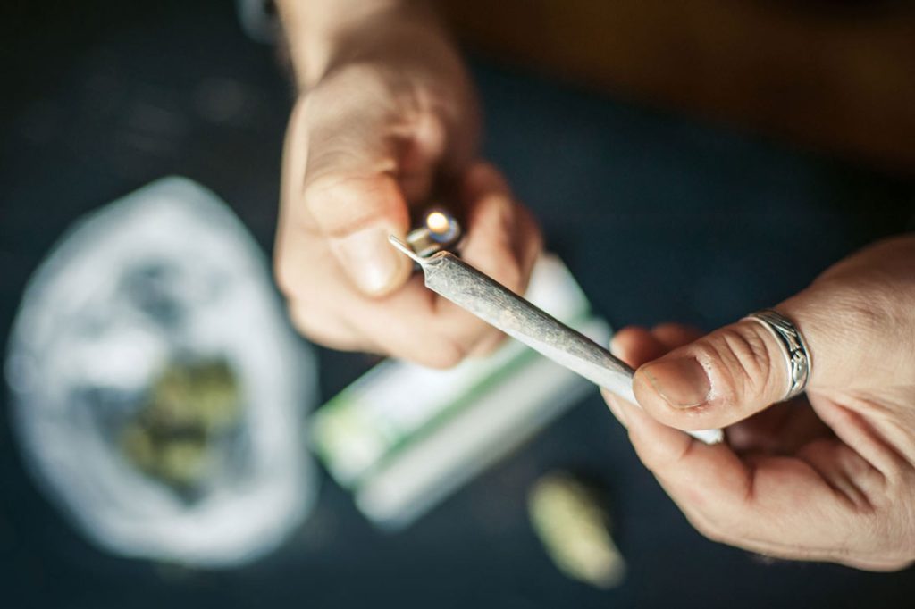 Cannabis Flower: A Guide to Aromas, Effects, and Consumption • Root ...
